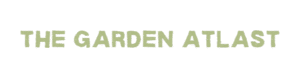 28 Australian Native Garden Design Ideas to Celebrate Local Flora - The ...
